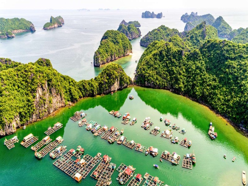 Kinh Nghiệm Du Lịch Vịnh Lan Hạ 1 Ngày – Lịch Trình Trọn Vẹn